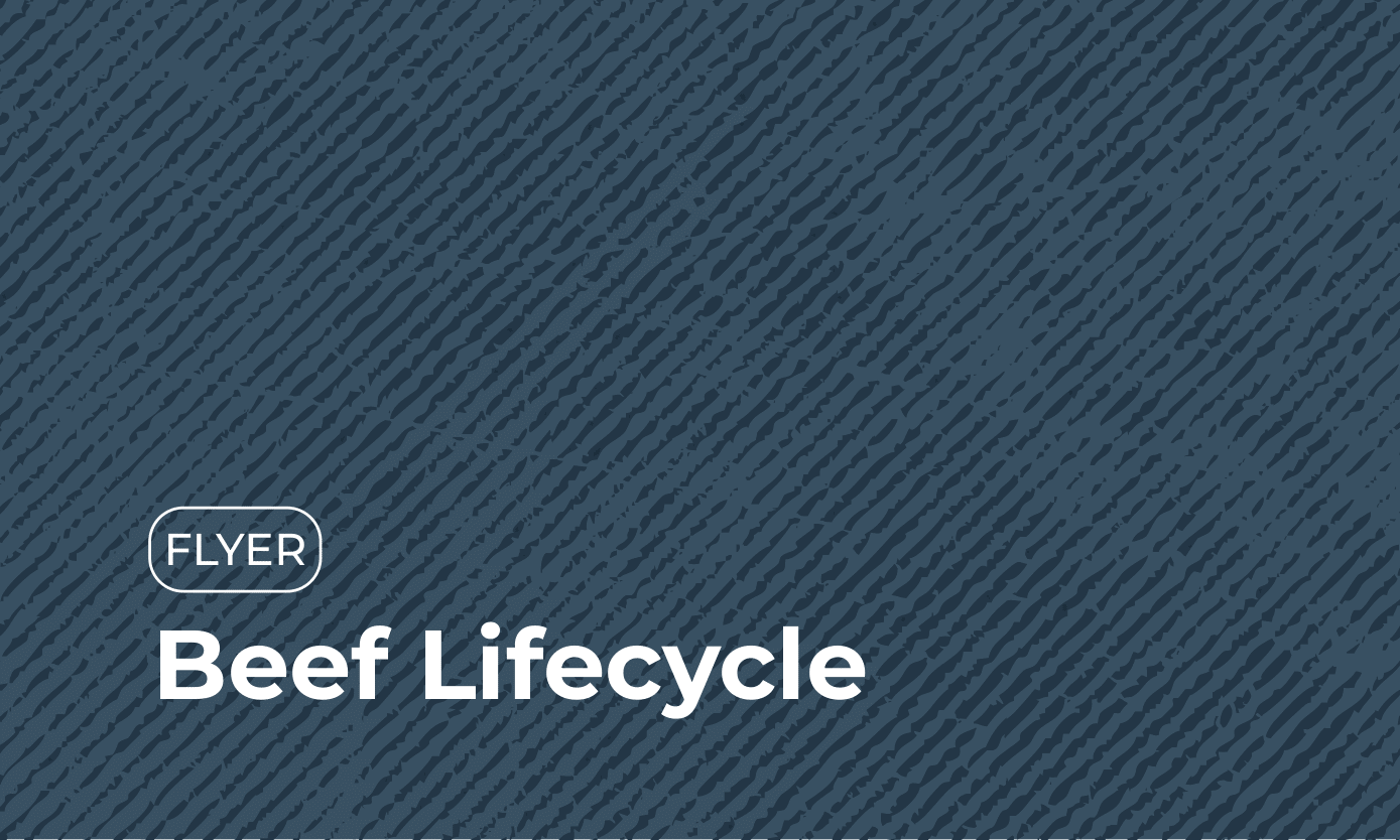 Teacher Resources – The Raw Truth About Beef